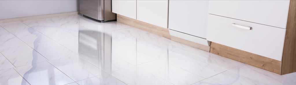 About Us – WaterCop